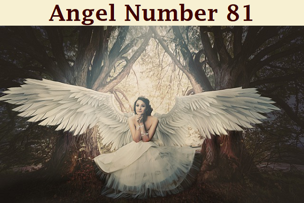 Angel Number 81 Meanings – Why Are You Seeing 81 - Ink Fruit